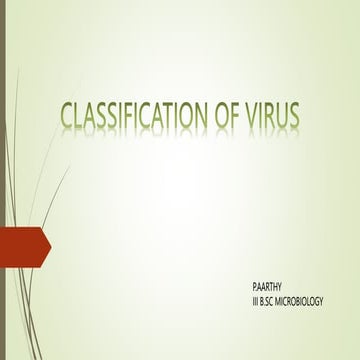 virus classification.pptx