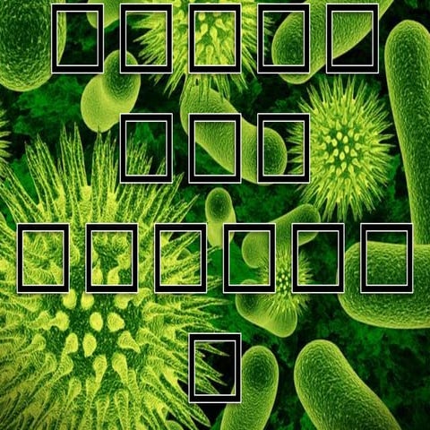 Virus dan bakteri | PPTX