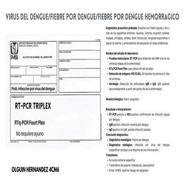 VIRUS DEL DENGUEFIEBRE POR DENGUEFIEBRE POR DENGUE HEMORRAGICO_20250527 ...