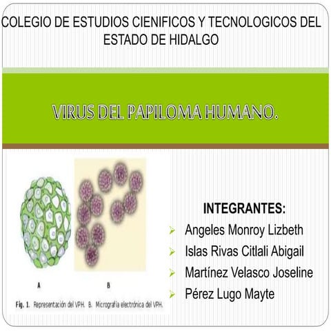 Sumiquim ioi-oleo_pharma_witepsol | PDF