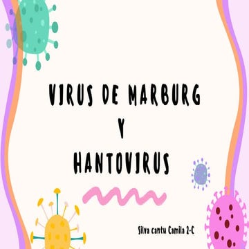 Comprehensive Overview of Marburg Virus and Hantavirus: Taxonomy ...