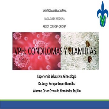 Condilomas_Presentacion_Plan de clase.pptx