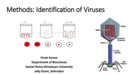 Virus neutralization test | PPTX
