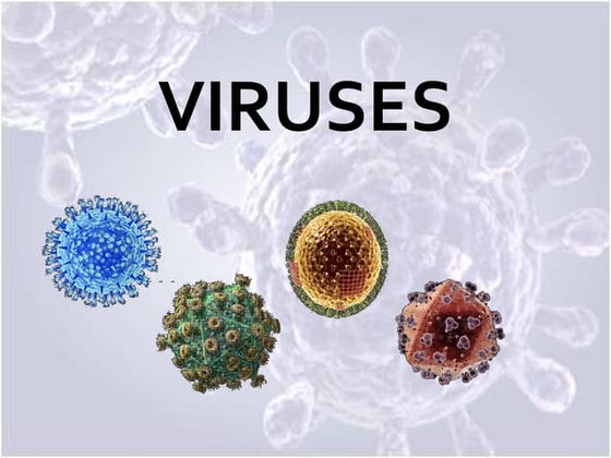 Virus | PPT