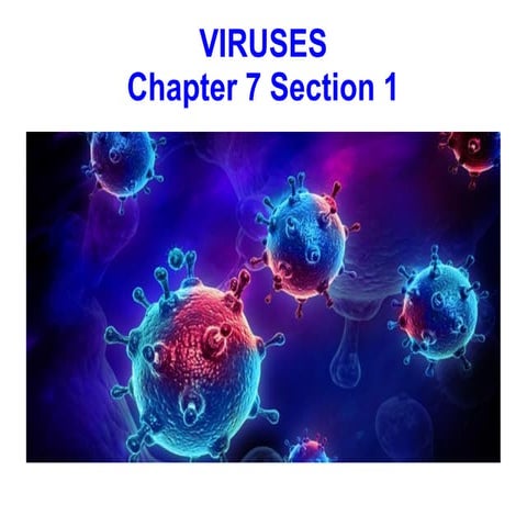 Viruses | ODP