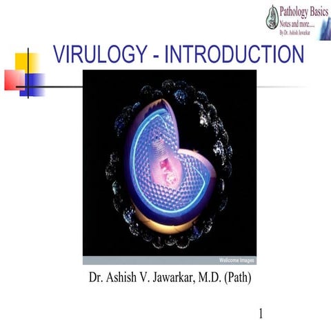 Viruses | PPT