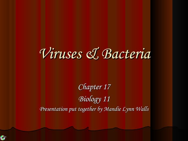 Reproduction In Bacteria Pptx