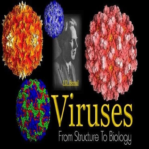 Viruses | PPT