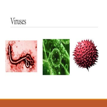 Introduction to Viruses | PPTX