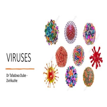 GRADE 11 - VIRUSES.pptx