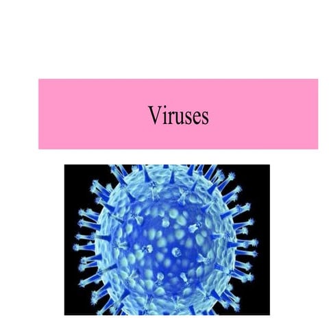 Viruses, bacteria, protists and fungi | PPTX