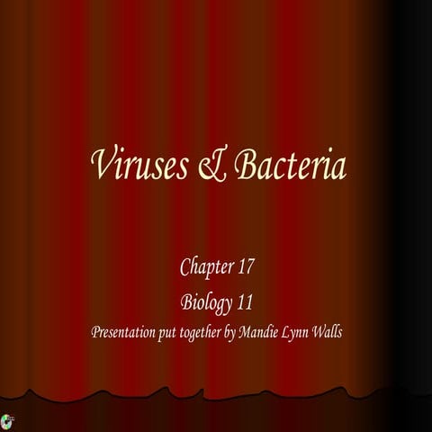 bacteria and viruses.pptx