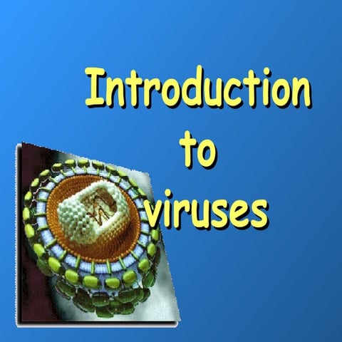 Viruses ppt that is important to understand by the students | PPT