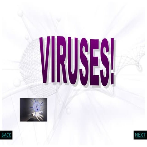 Introduction to viruses | PPTX