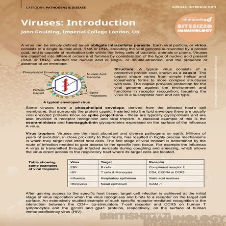Viruses - introduction.pptviruses viruses | PPT