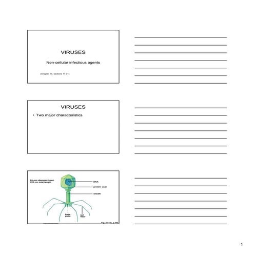 Viruses | PDF | Infectious Diseases | Diseases and Conditions