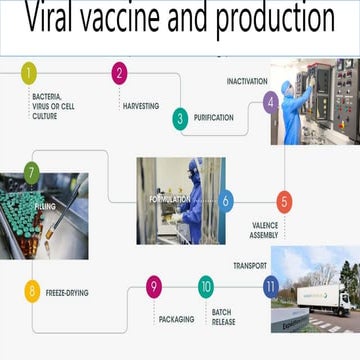 Viruses and vaccine production | PPTX