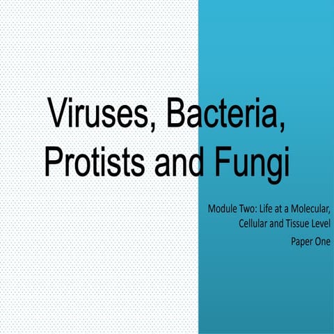Viruses, bacteria, protists and fungi | PPTX