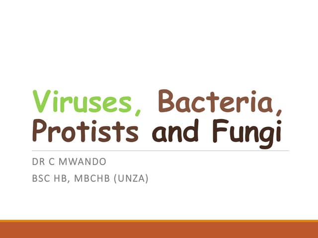 Viruses and Bacteria | PPTX