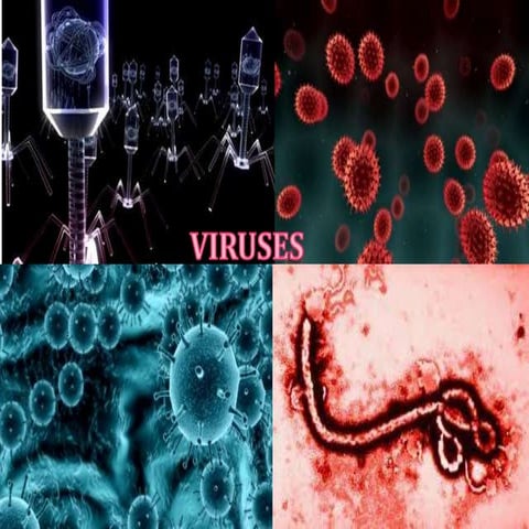 Viruses | PPTX