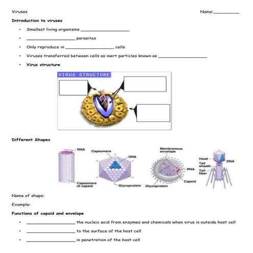 Meet the microbes!! | PPTX