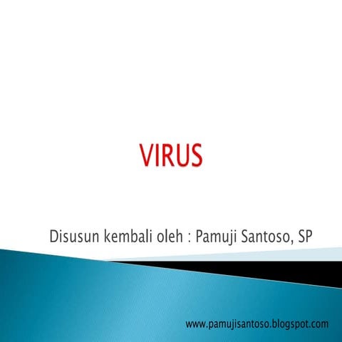 Virus Pptx