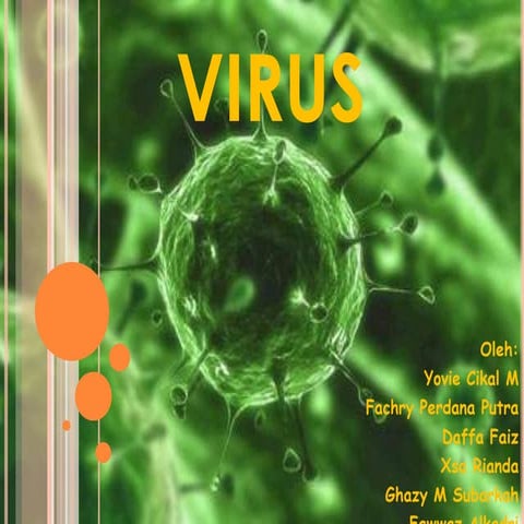 Virus group 1 | PPT