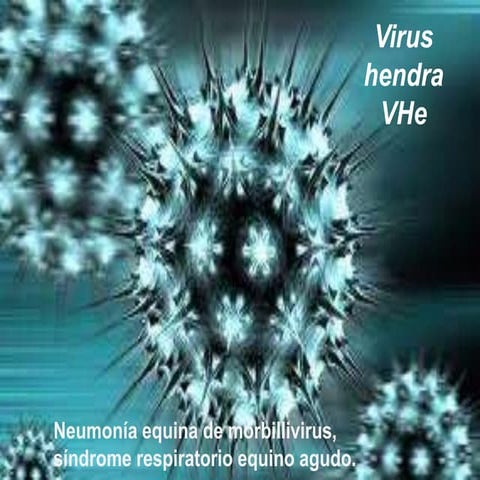 Virus hendra | PPTX