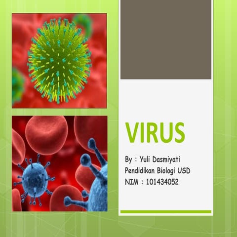 Virus ppt | PPT