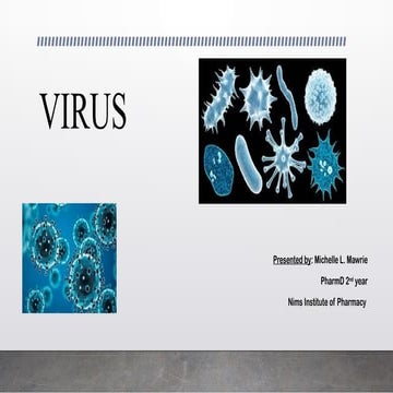 Viruses, bacteria, protists and fungi | PPTX