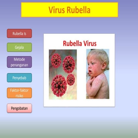 Virus rubella | PPT