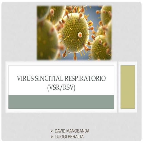 Virus sincitial respiratorio | PPTX