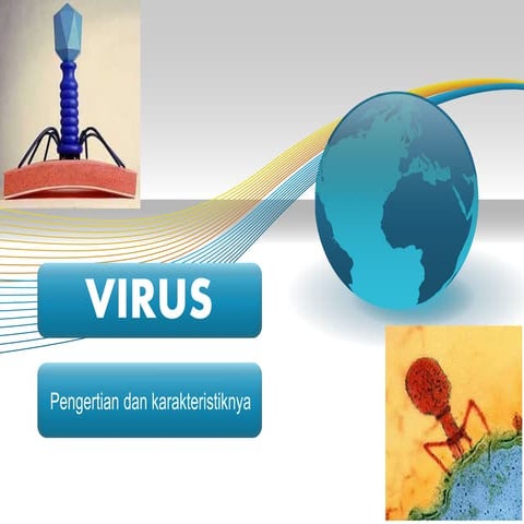 Virus | PPT