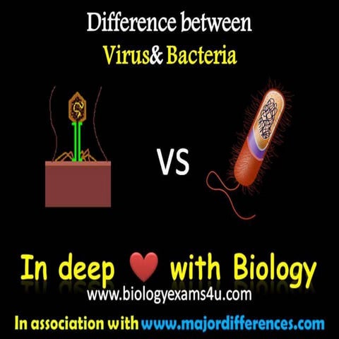 7 Major Differences between Virus and Bacteria (Virus vs bacteria) | PPTX