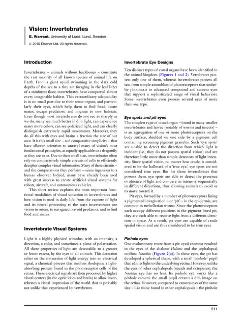 insect vision, entomology, insect eye facet | PPTX | Eye and Vision ...