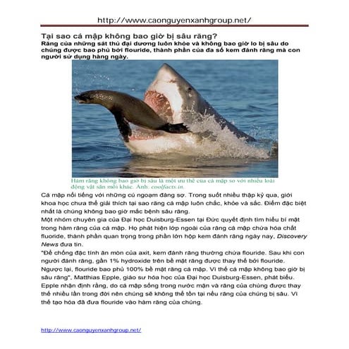 Vi sao ca map khong sau rang | PDF