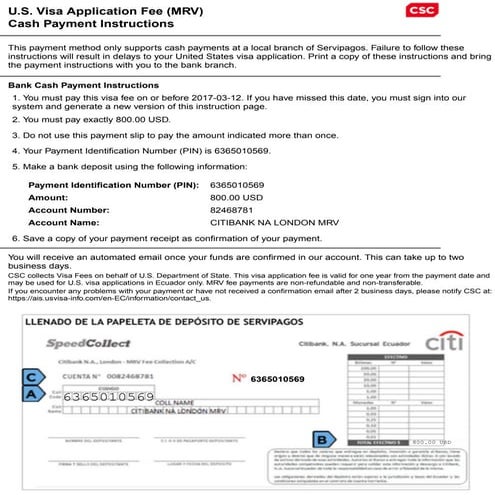 Visa payment instructions | PDF