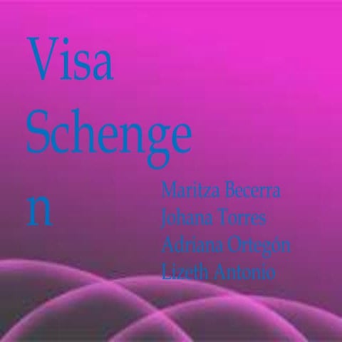Schengen Travel Visa Requirements: A Simplified Guide | PDF