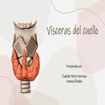 anatomía de las vísceras del cuello pptx | PPTX