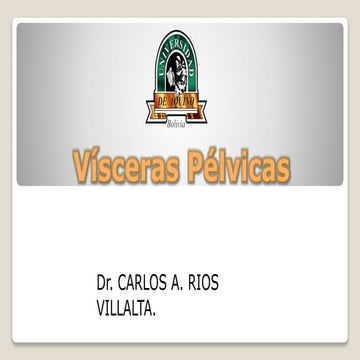 VISCERAS PELVICAS 1. anatomia humana segundo semestre | PPTX