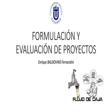 formulacion y evaluacion de proyectos para elaborar flujos de caja | PDF