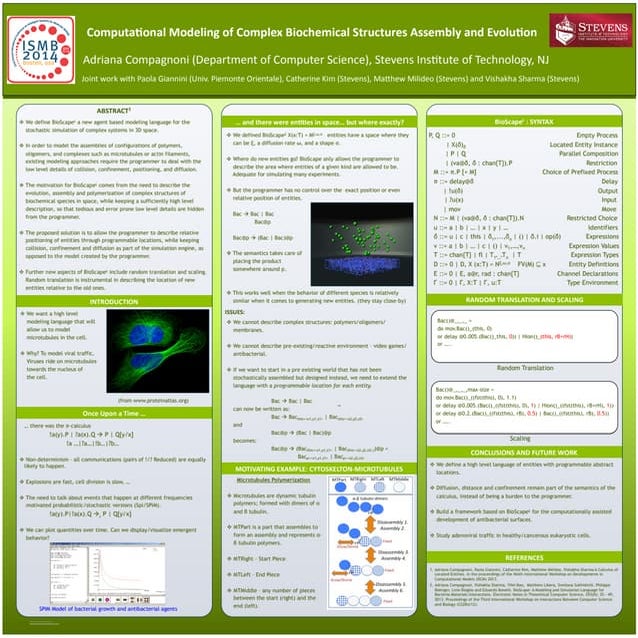 Computational Modeling of Complex Biochemical Structures Assembly and ...