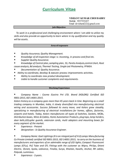 Vijak Krittayakornnupong Resume | PDF | Apparel Industry | Industries