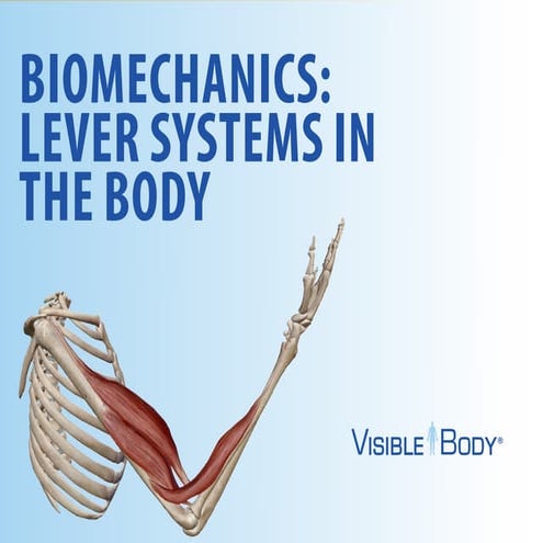 Visible-Body-eBook_Levers for better understanding | PDF