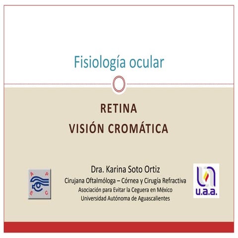 Visión Cromática | PPTX
