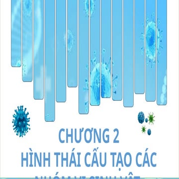Vi Sinh Đại Cương tổng quan về vi sinh vật | PPTX