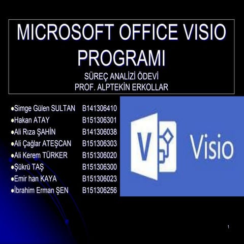 VISIO.pptx