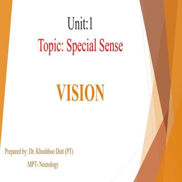 VISION.pdf