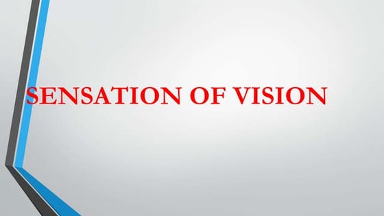 Anterior and posterior segment of eye | PPTX | Eye and Vision Conditions | Diseases and Conditions