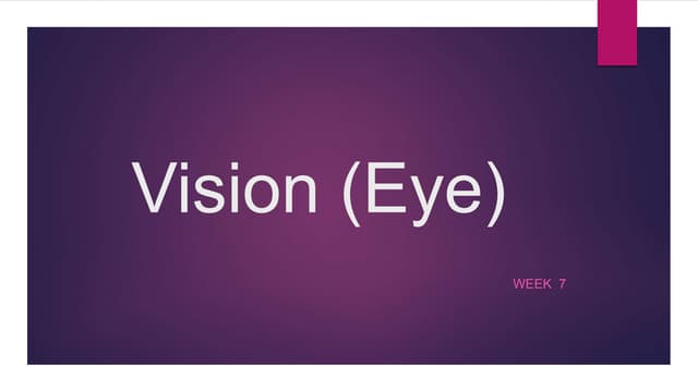 Human Eye and the Camera Powerpoint - Optics | PPTX
